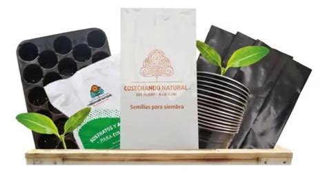 Kit De Cosecha En Casa Siembra Y Cultiva Tu Propio Huerto Cuotas sin interés