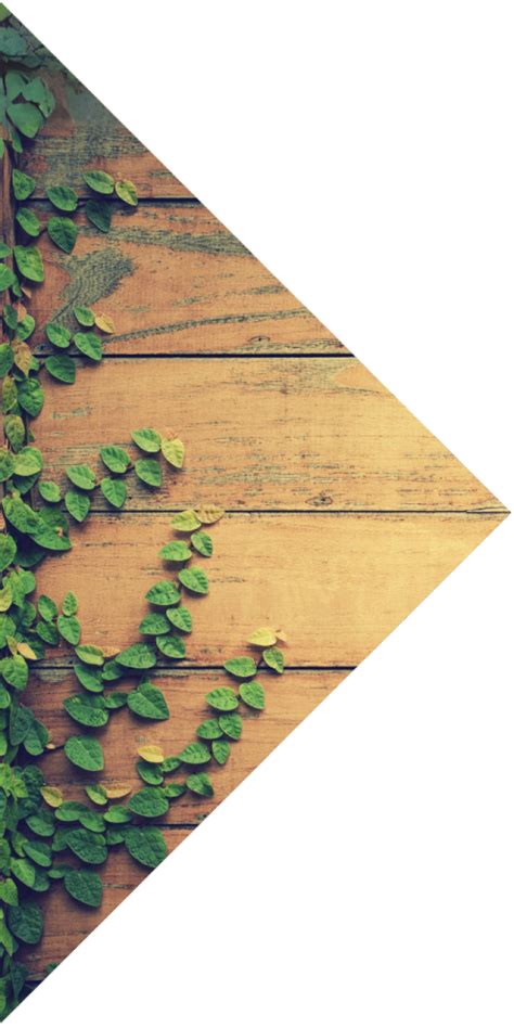 Tmp Accreditation Training For Hr And Landd Consultants