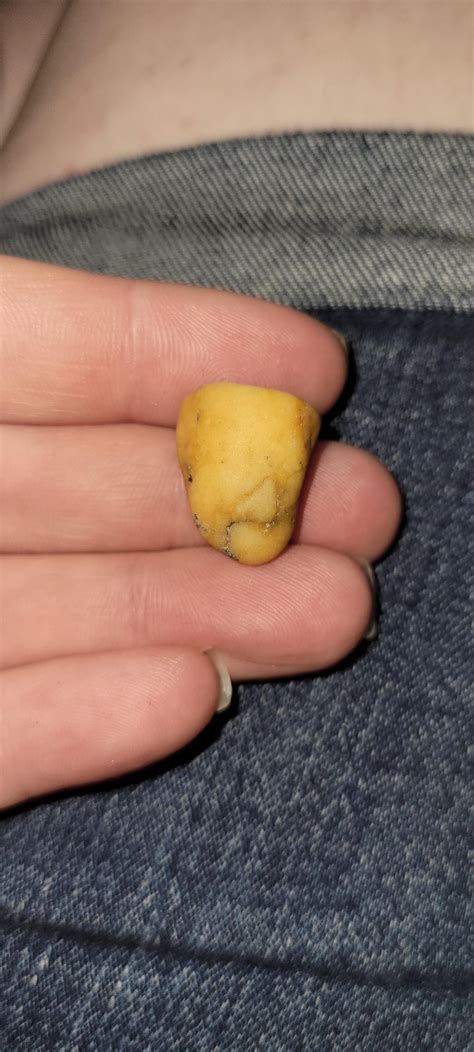 Is This A Fossilized Tooth R Whatsthisrock