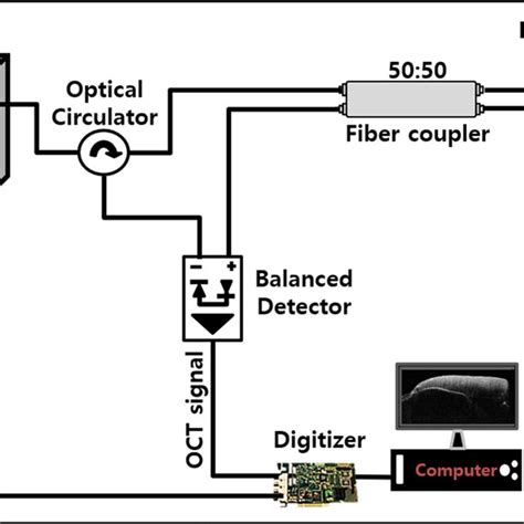 Schematic Representation Of The Swept Source Optical Coherence