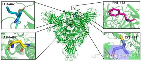 分子模拟pymol开源版安装步骤及教程 知乎