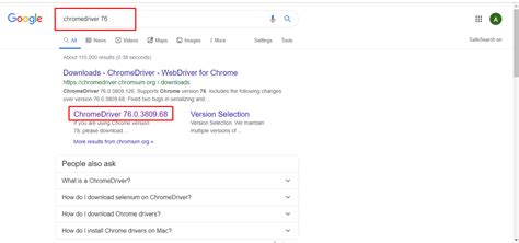 Chromedriver Path