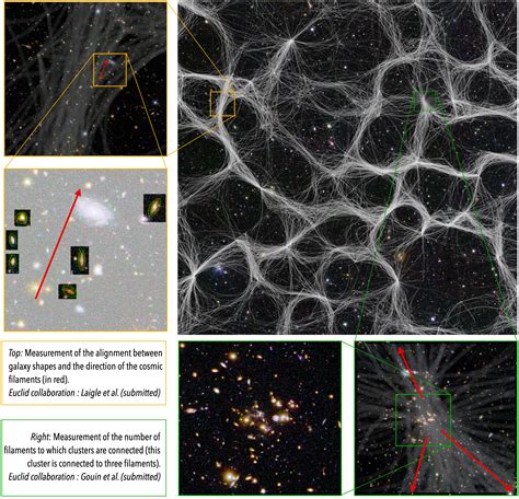 The Cosmic Web In The First 63 Square Degrees Of The Euclid Survey First Indications Of Its