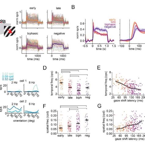 spatial and temporal frequency tuning demonstrate coarse to fine