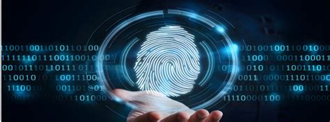 Encryption In Biometric Technology Securing Sensitive Data