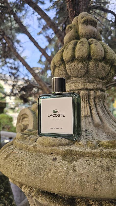 Lacoste Original Lacoste Fragrances одеколон - новий аромат для ...