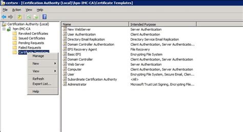 Web Server Certificate Template Best Professionally Designed Templates