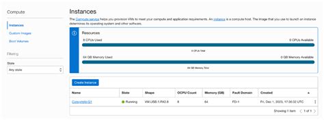 在 Oracle Roving Edge Infrastructure 上部署 Corsight Fortify 應用程式