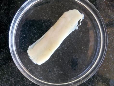 Figure 1 From Formulation Development And Evaluation Of Mucoadhesive Microspheres Of Oral