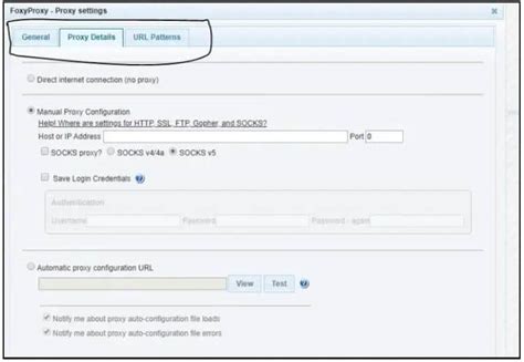 Foxyproxy 终极指南如何在 Foxyproxy 中设置代理 代理 Proxy