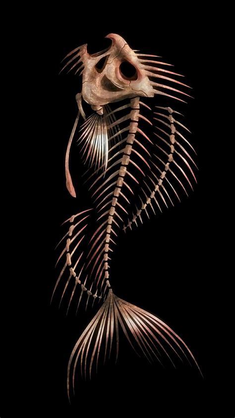 Fish Skeleton Art
