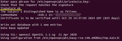 fundamentals of running openvpn in docker on ubuntu