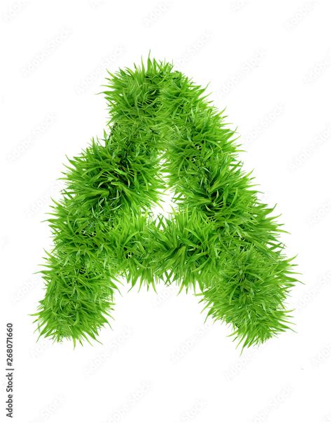 ALPHABETIC GREEN LEAF LETTER A TO Z LETTER A D ILLUSTRATION Stock Photo Adobe Stock