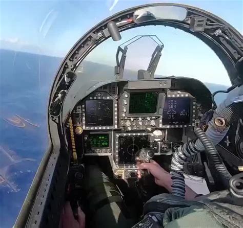 [video] Telma Freitas Posted On Linkedin