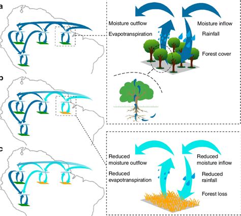 Schematic Representation Of Cascading Effects In The Download