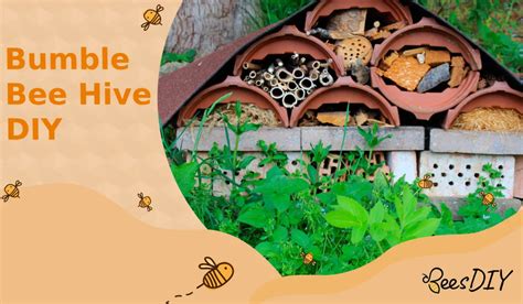 Bumble Bee Hive Diy Build A Remarkable Bee Sanctuary That Fills You