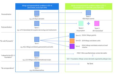 General Logic Of Classification Strategy Icd International Download Scientific Diagram