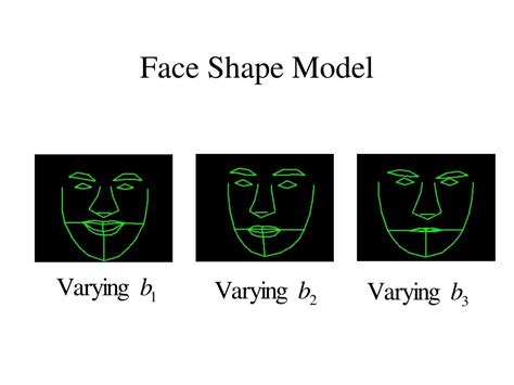 Ppt Statistical Shape Models Powerpoint Presentation Free Download Id 9327395