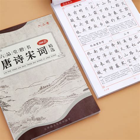 六品堂临摹练字帖楷书全套成年楷书入门基础训练练字神器成人男生女生字体漂亮控笔笔画笔顺钢笔硬笔书法专用练字本楷体正楷字帖 虎窝淘