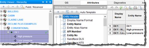 Attributes Tab