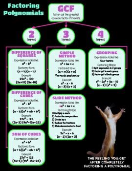 Factoring Polynomials Infographic By Gretchen Wagner TPT