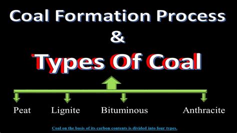 Coal Formation Stages