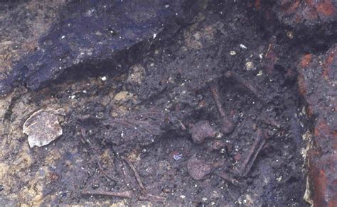 Sex Workers In Medieval Brothel Infant Burial Reveals Unexpected