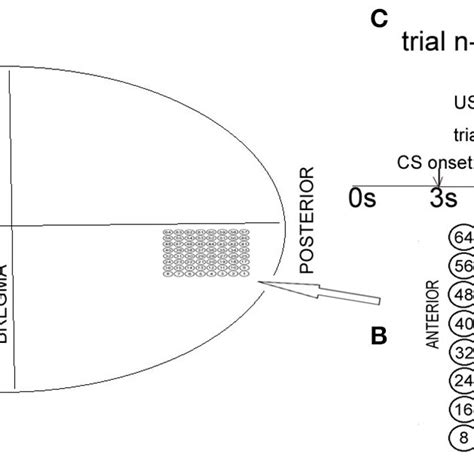 Electrode Array And Basic Summary Of The Experimental Approach A The