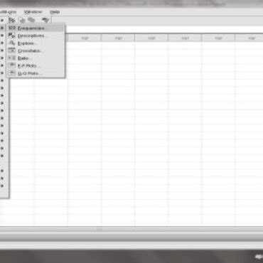 PDF Application Of The Statistical Package For The Social Sciences SPSS
