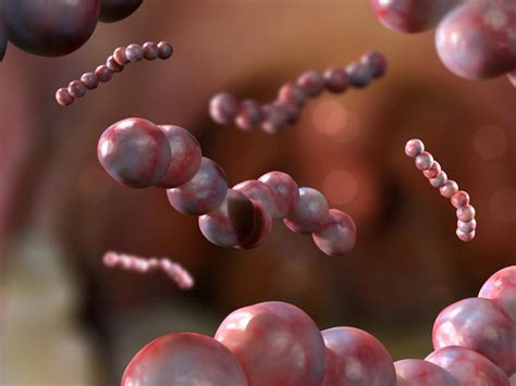 Risk Of Invasive Strep Has Spiked Study Warns What To Know In Nh