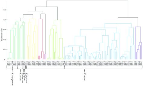 Phenotypic Dendrogram Based On Maldi Tof Ms Spectra Obtained In The