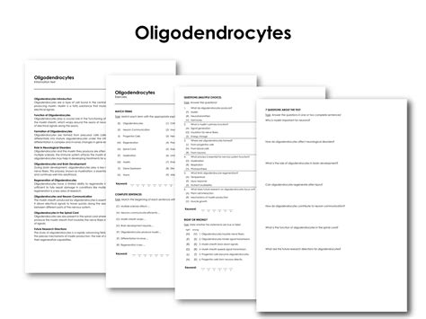 Oligodendrocytes Made By Teachers