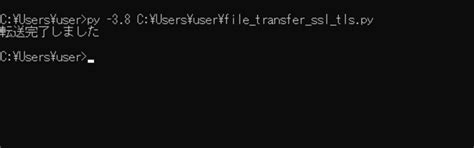 ftplibを使用しPythonでFTPファイル転送プロトコル転送を行うSSL TLSで接続する Men of Lettersメンオブレターズ 論理的思考 業務改善
