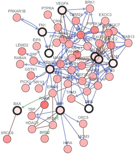 Identification Of Prognostic Biomarkers For Malignant Melanoma Using