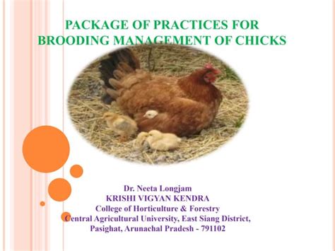 Broiler Sbadocx For Agricultural Science Csec Docx