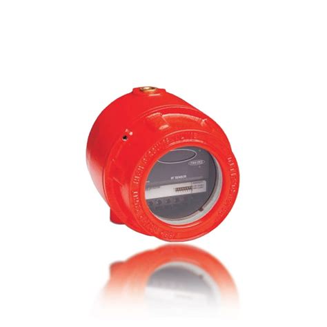 Flameproof Flame Detector IR² Eurotech