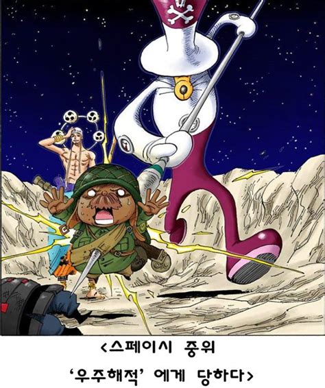 원피스의 풀리지 않은 모든 복선 정리 ④부 초스압