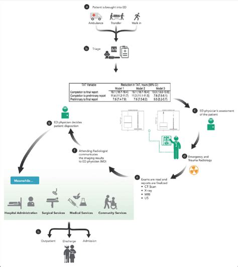 Graphical Illustration Depicting The Workflow Of Emergency And Trauma Graphical Illustration Depicting The Workflow Of Emergency And Trauma