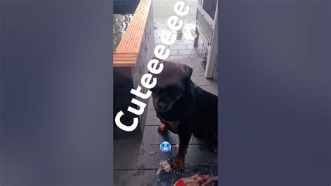 Cuteeeeeeee Youtube