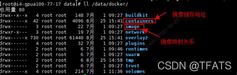 Linux中使用docker快速搭建tensorflow Gpu开发环境docker 拉镜像tensorflow Gpu Csdn博客