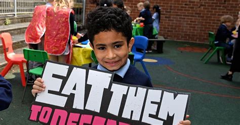 Eat Them To Defeat Them Returns To Uk Primary Schools News Fruitnet