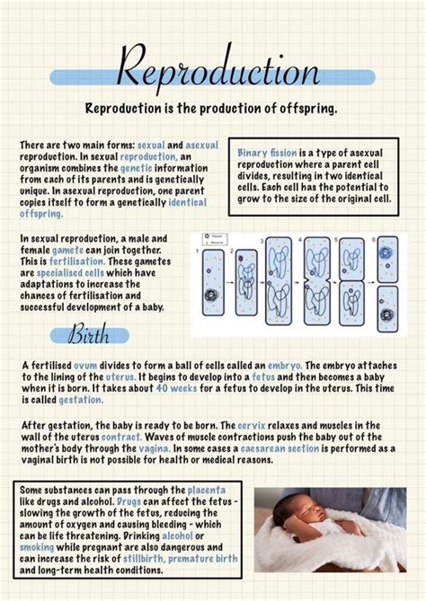 Draw It Neat How To Draw Male Reproductive System Front View Reproductive System Biology
