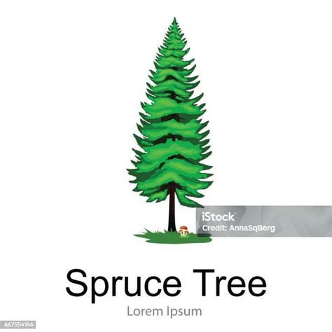 녹색 잔디 벡터 일러스트 레이 션에 흰색 배경 아이콘 분기와 야외 공원에 만화 고립 된 스프루 스 여름 나무 Leafs 0명에 대한 스톡 벡터 아트 및 기타 이미지 Istock