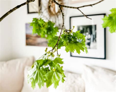 Creative Ways For Decorating With Tree Branches Most Lovely Things