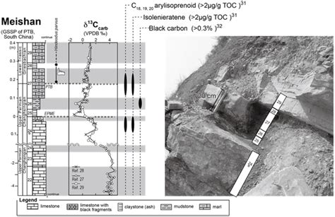 Lithologic Column And A Photograph Of The Meishan Section The