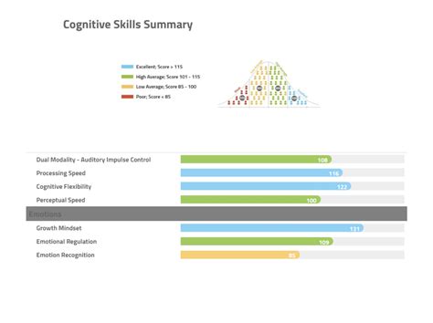 Cogmap Assessment Old Brainfit Philippines