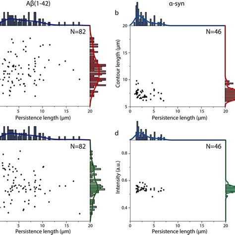 Relationships Between Persistence Length Contour Length And