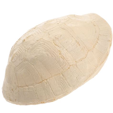 Turtle Shell Hide For Reptiles Tank Decor Climbing Pets To Avoid Baby Walmart Com