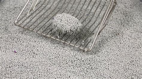 100 Natural Cat Litter Bentonite Custom Clumping Strong Clumping Eco Natural Ball Shape