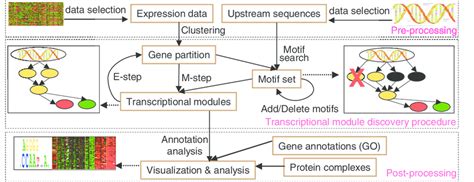 schematic flow diagram of our proposed method the pre processing step